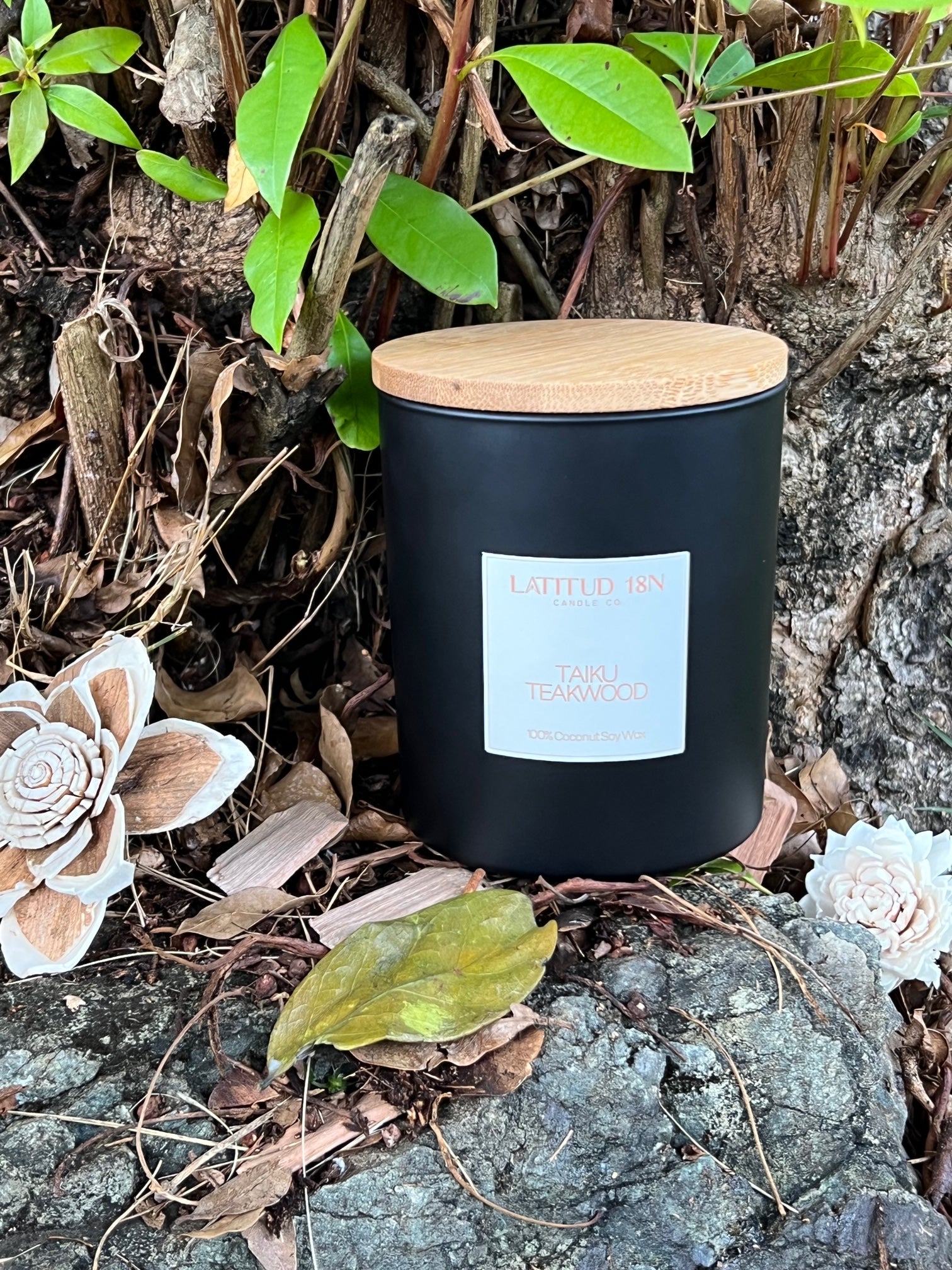 Taiku Teakwood – Latitud18n