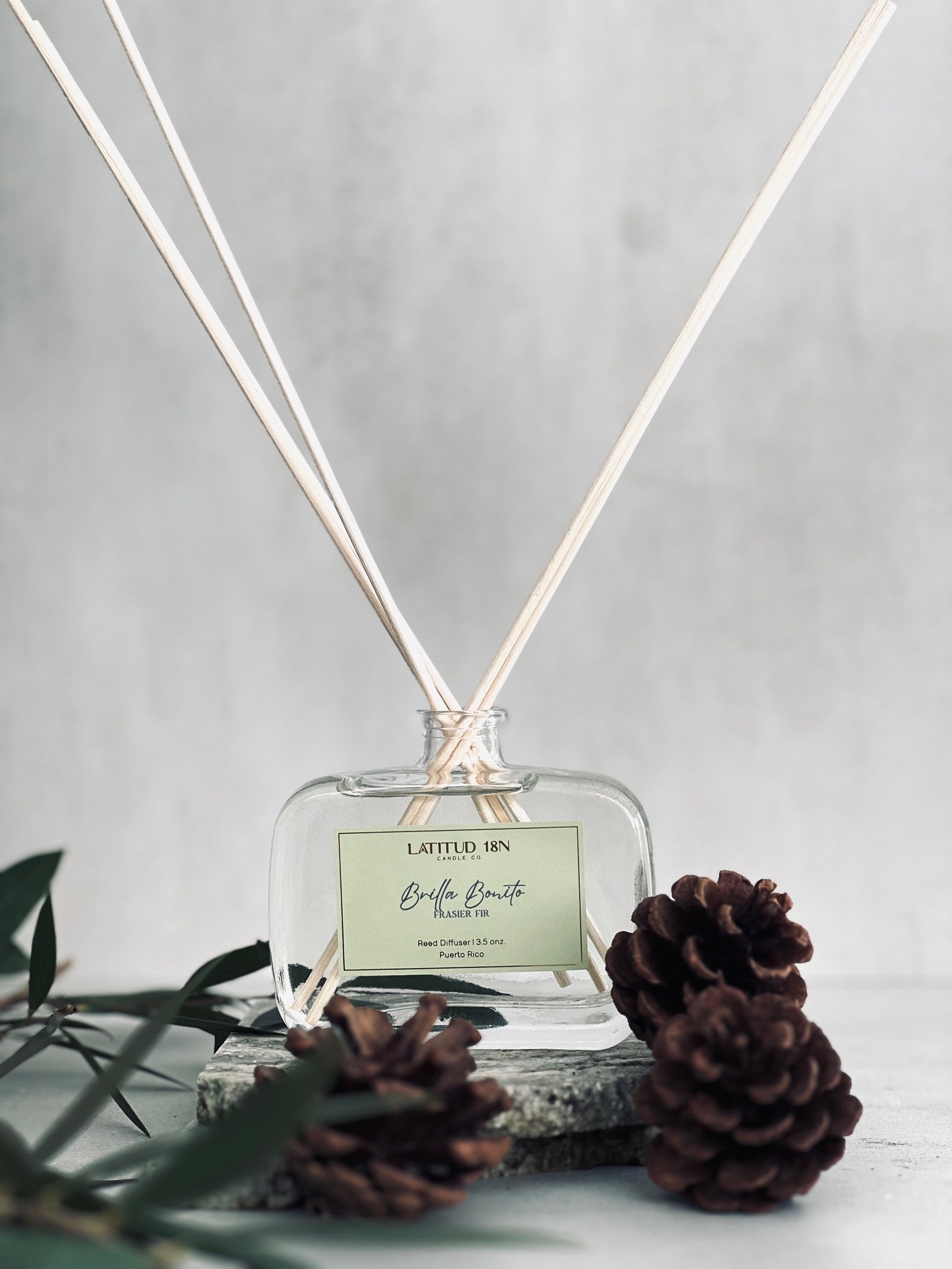 Brilla Bonito Fragrance Diffuser – Latitud18n